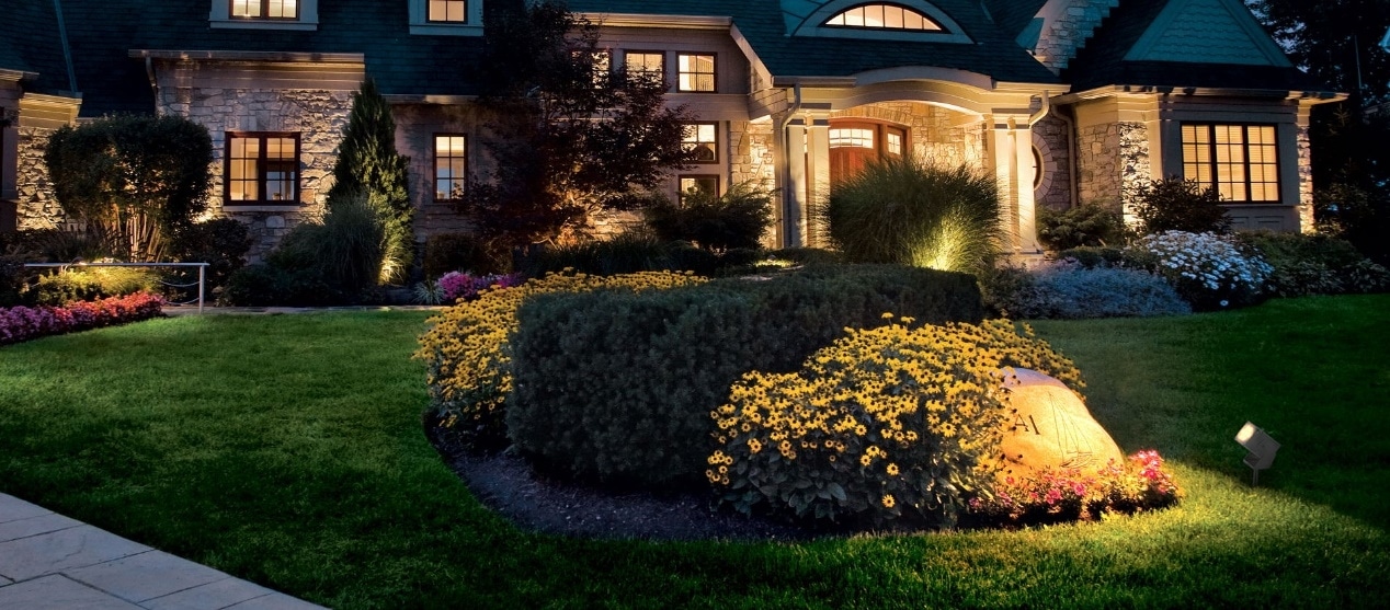 4 Perfect Tropical Plant Lighting Ideas To Transform Your Yard - Sottlot
